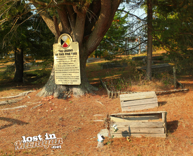The Legend of the Pine - Lost In Michigan